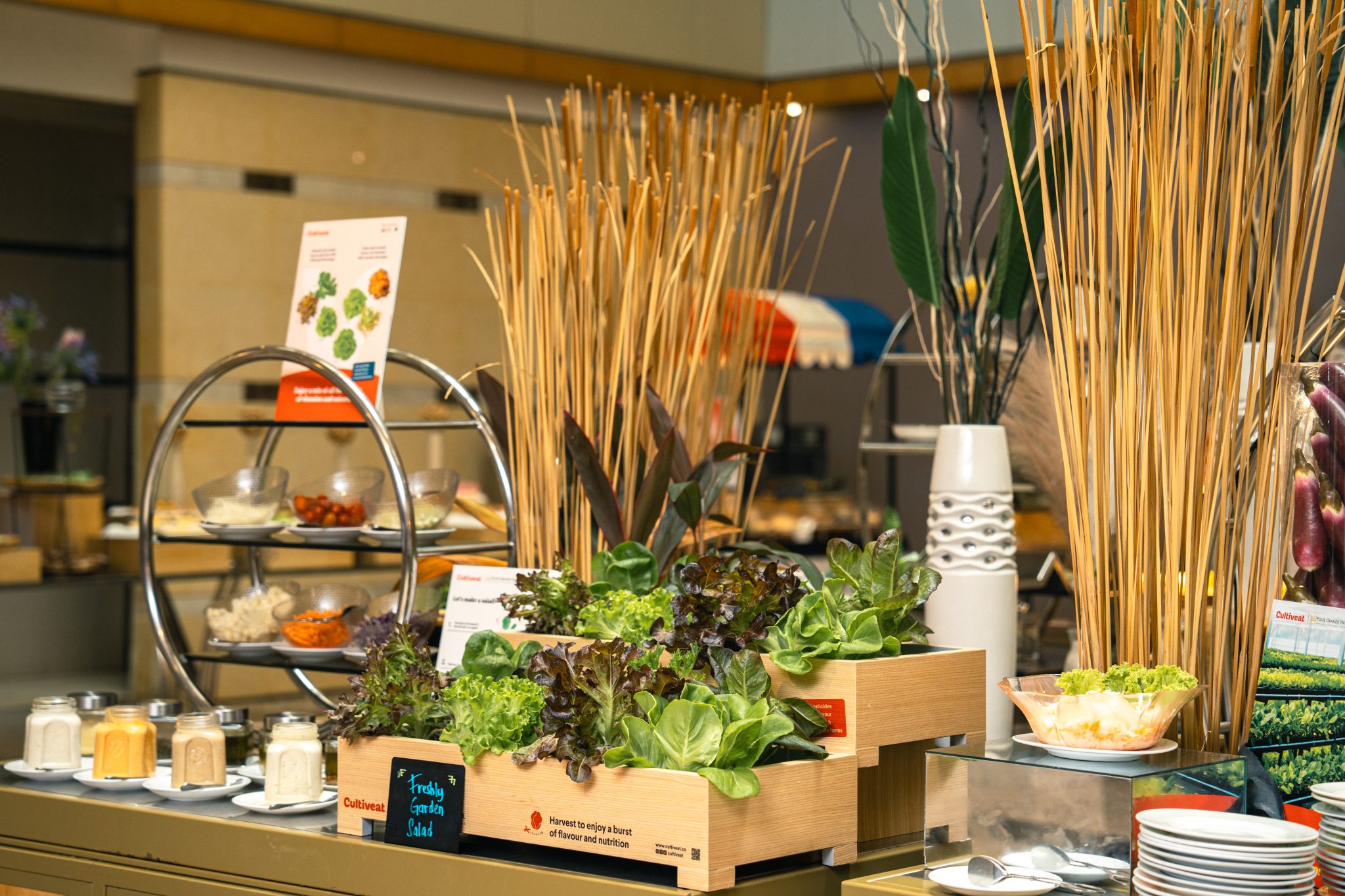 Dining | Pulse Grande Hotel